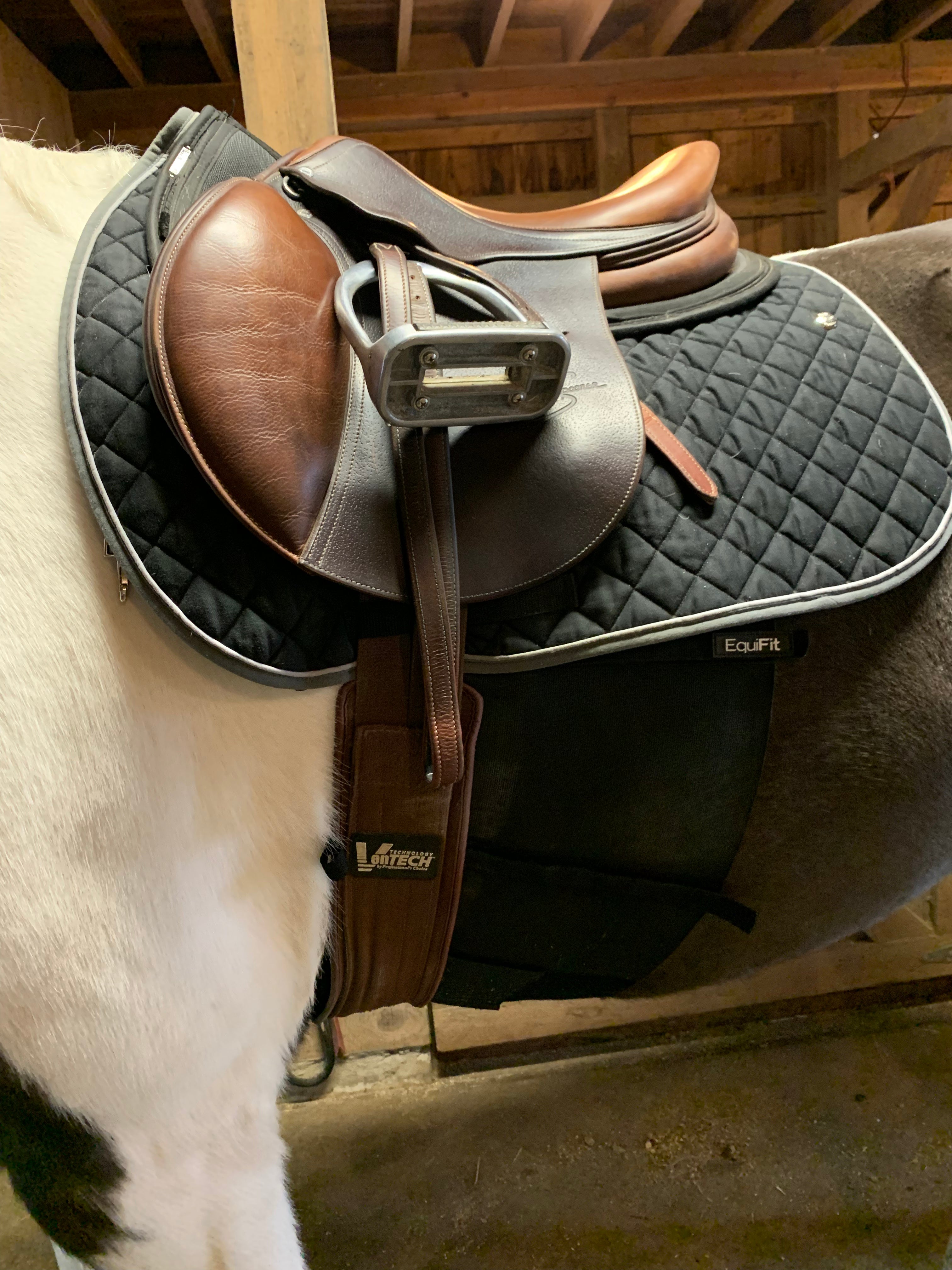 Tack Tip Tuesday - Winter Rubs – Evolution Equestrian Co.