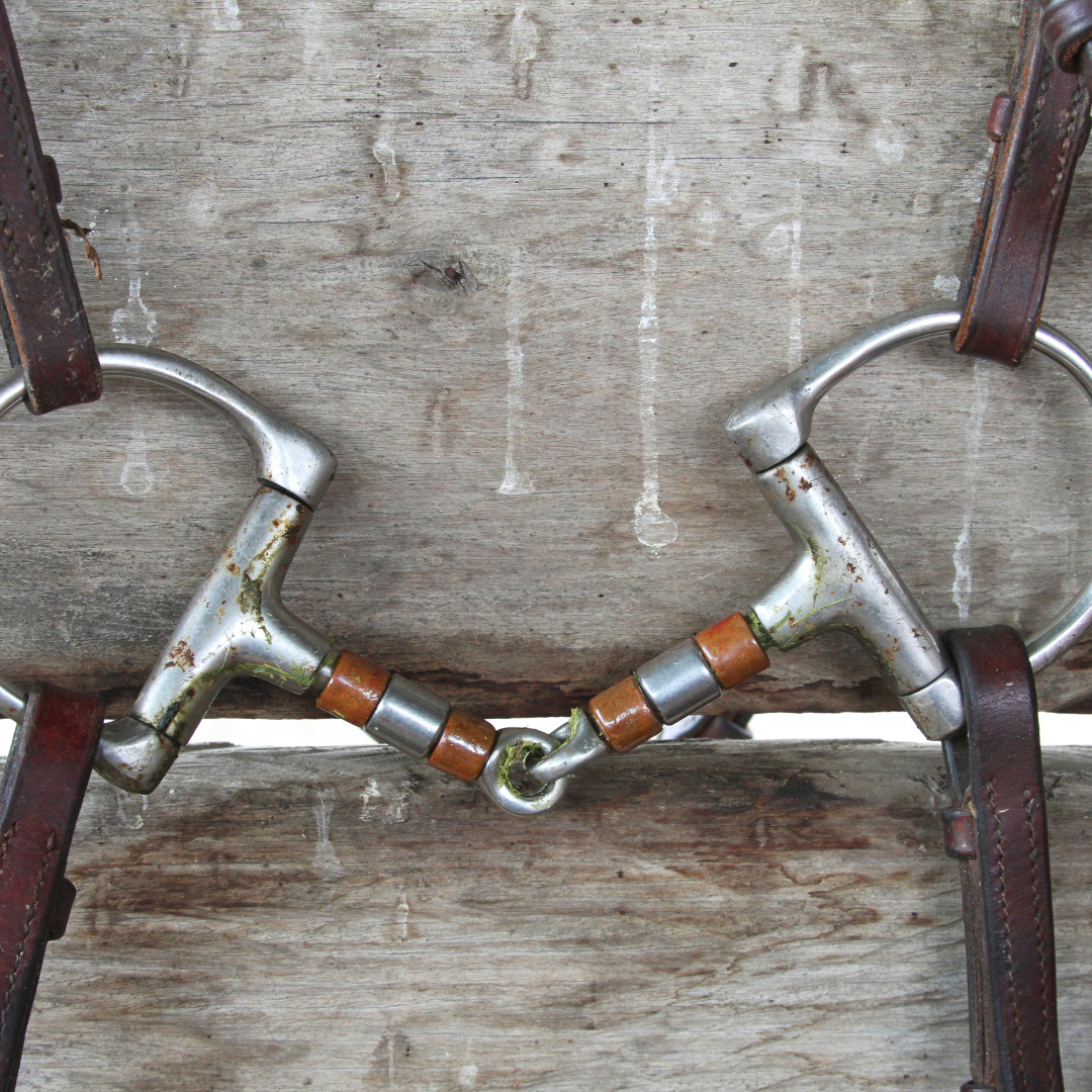 Different Types of Dee Rings – Evolution Equestrian Co.