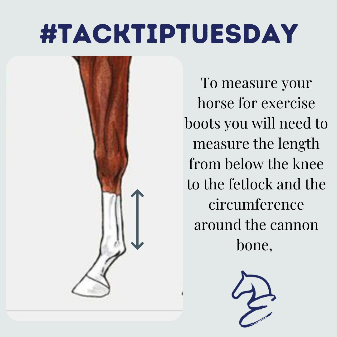 Exercise Boot Fit – Evolution Equestrian Co.