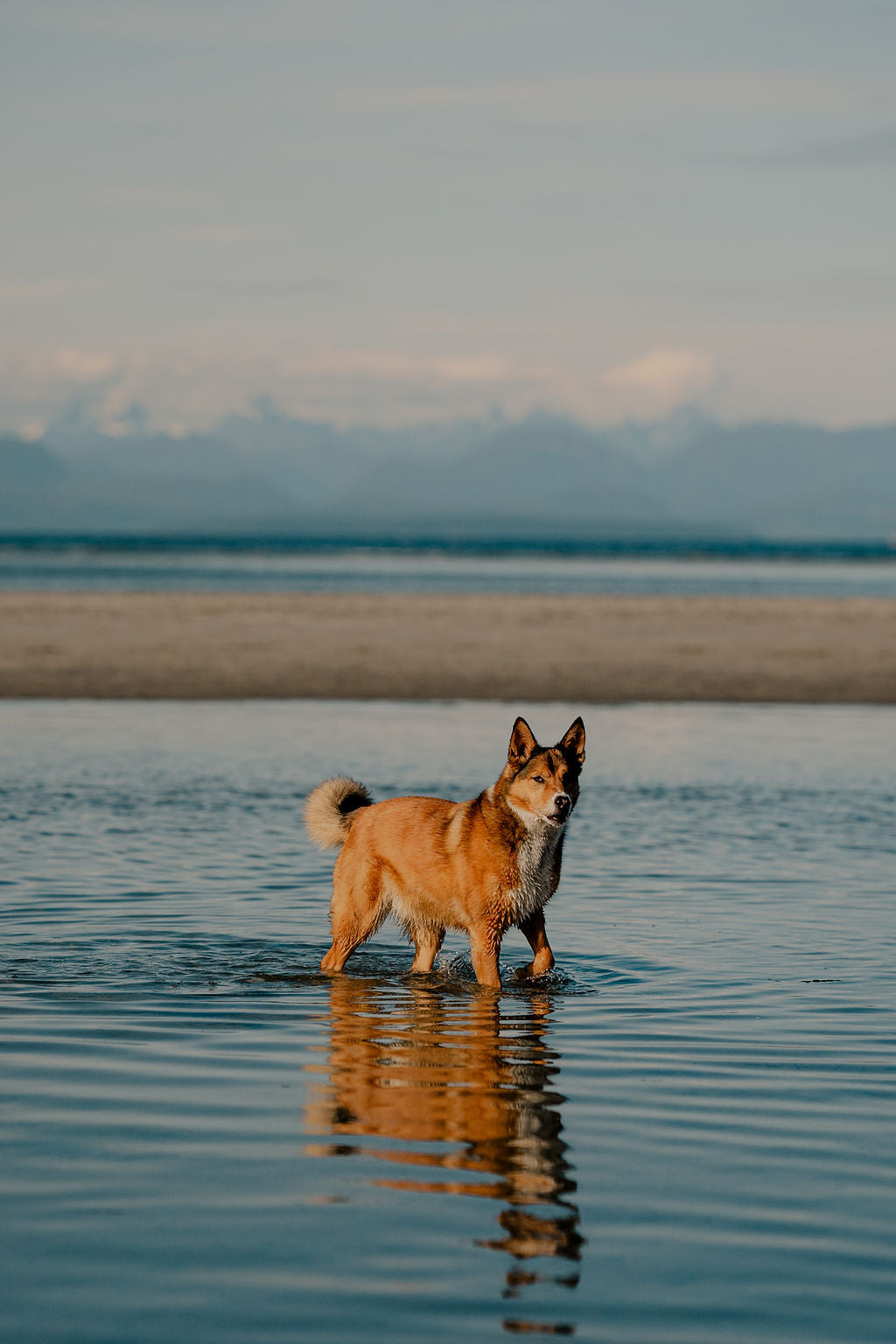 About Us – Evolution Equestrian Co.