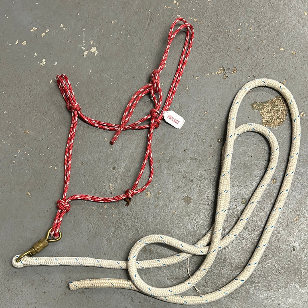 Rope Halter and Lead Cob Size – Evolution Equestrian Co.