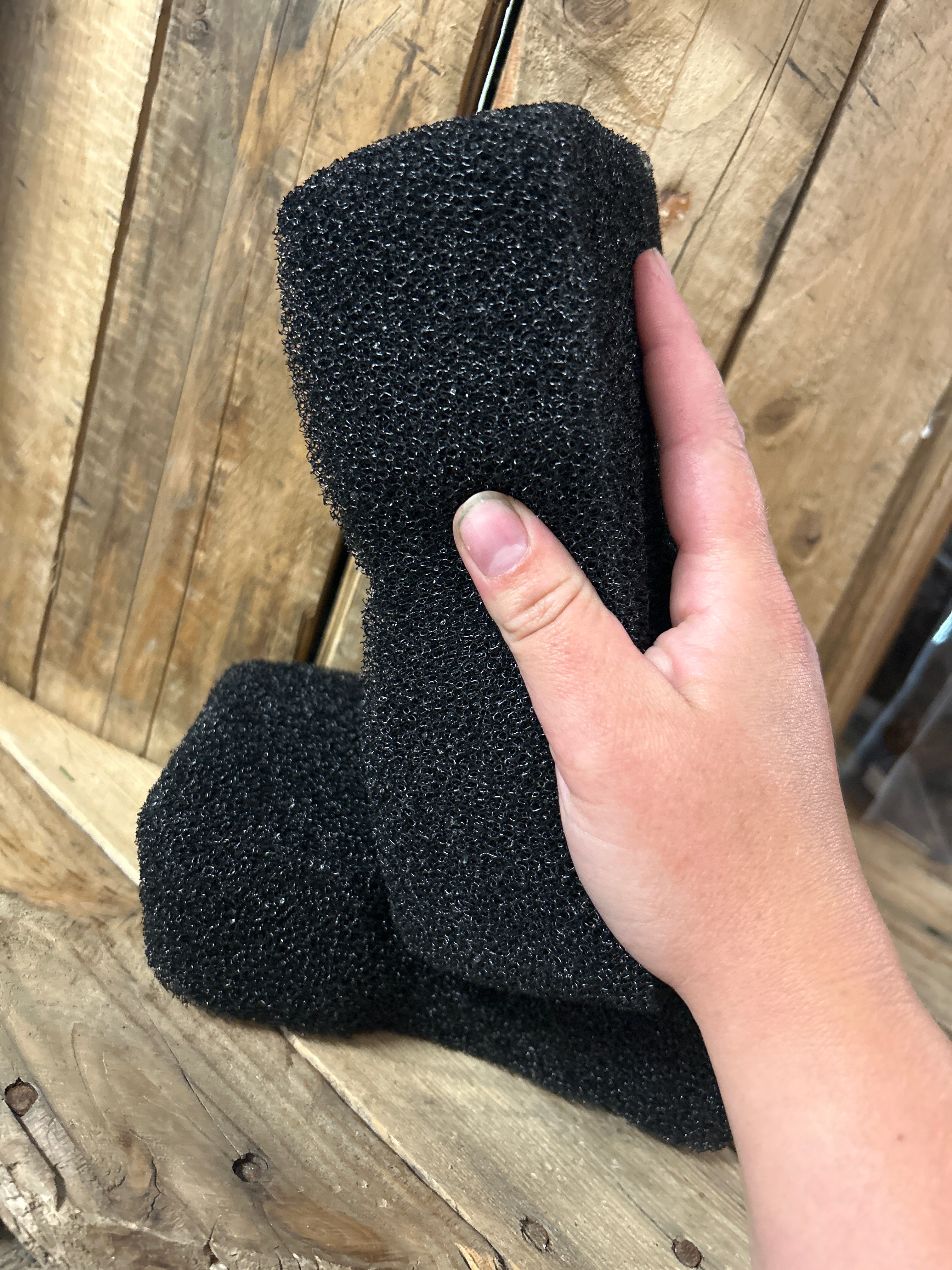 Sponge – Evolution Equestrian Co.