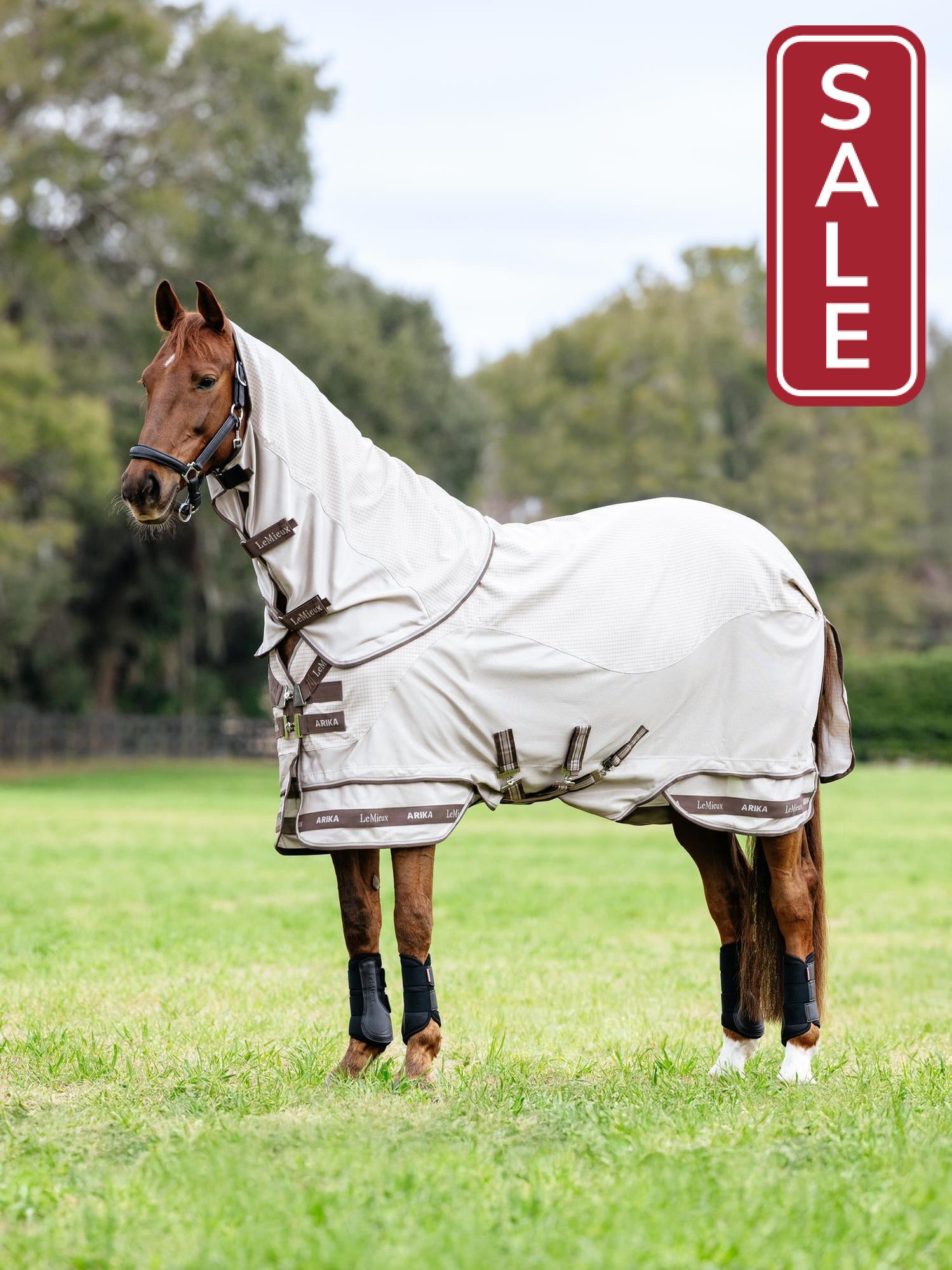 LeMieux Arika Sunstopper Sheet – Evolution Equestrian Co.