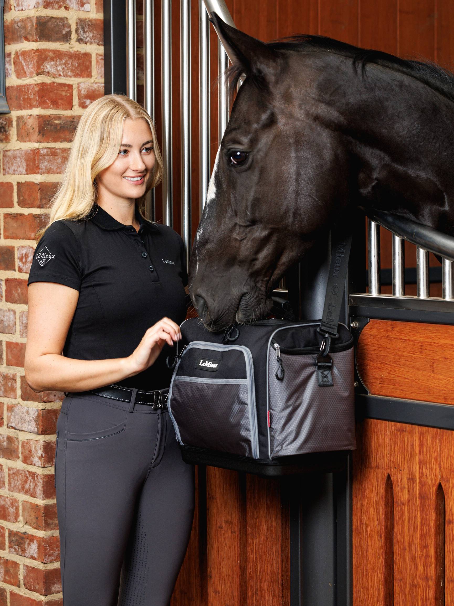 LeMieux Grooming Kit Pro – Evolution Equestrian Co.